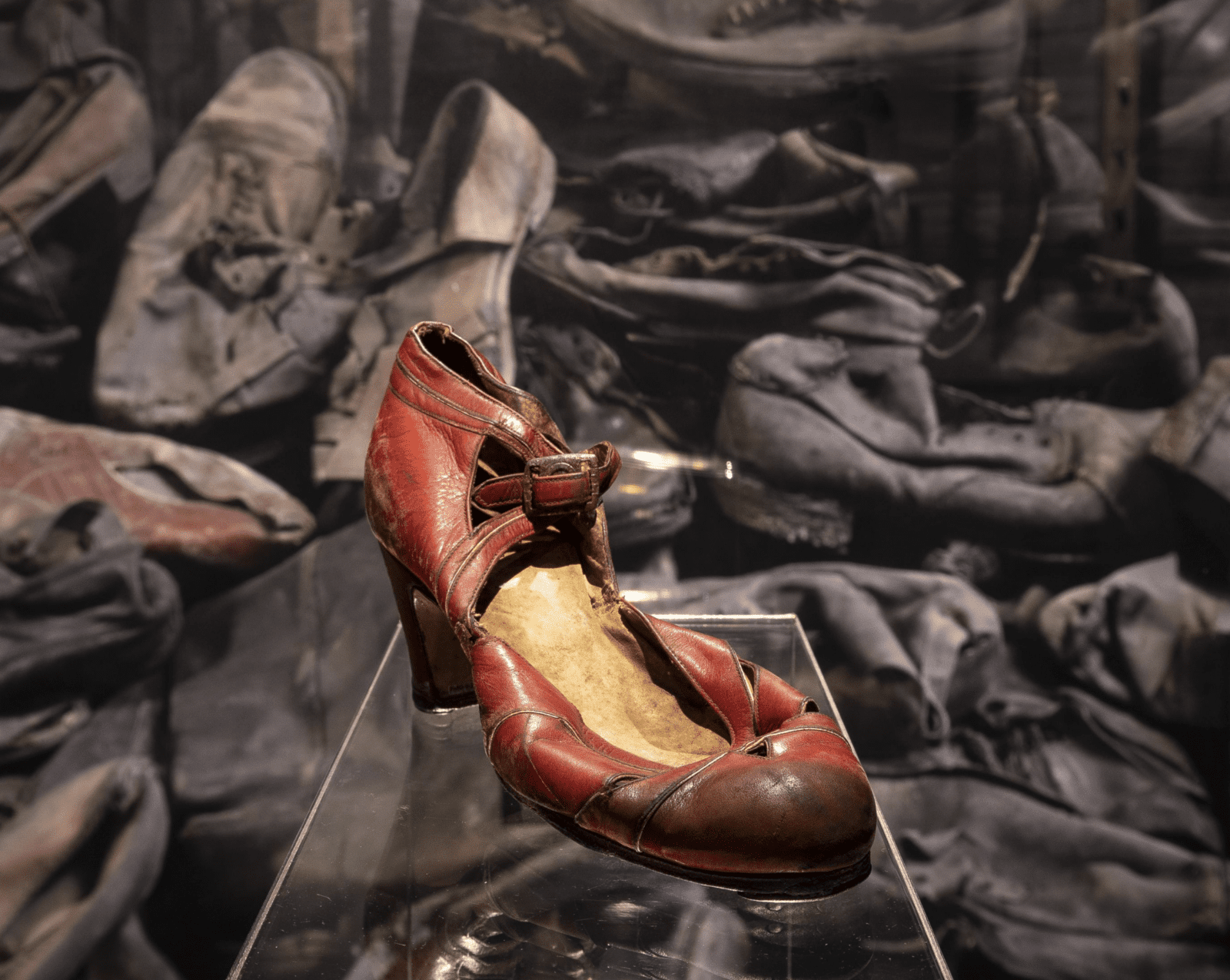 Exploring History: The ROM’s Powerful New Exhibit On Auschwitz - VITA Daily