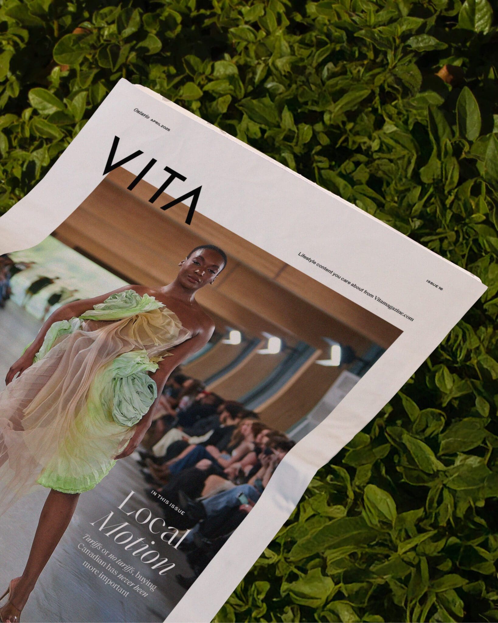 Magazine Archives - VITA Daily