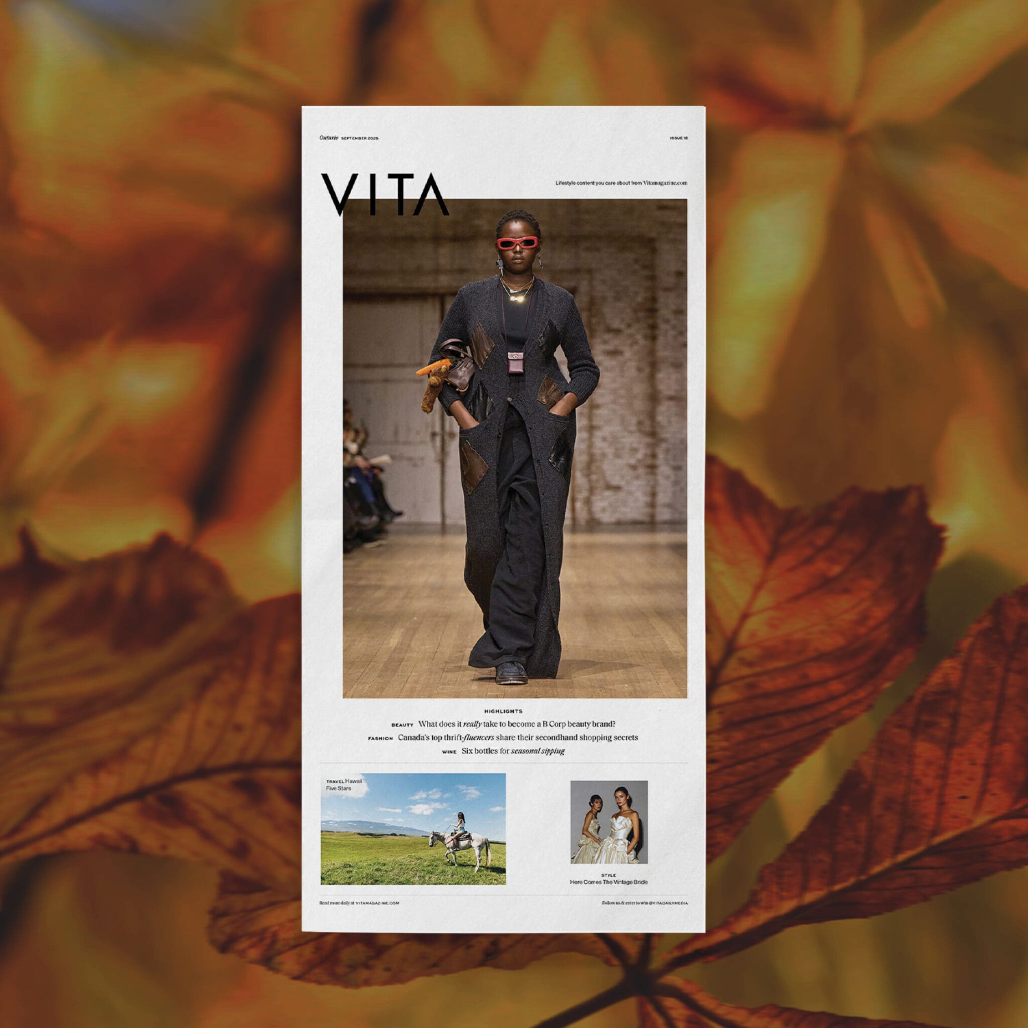 Magazine Archives - VITA Daily