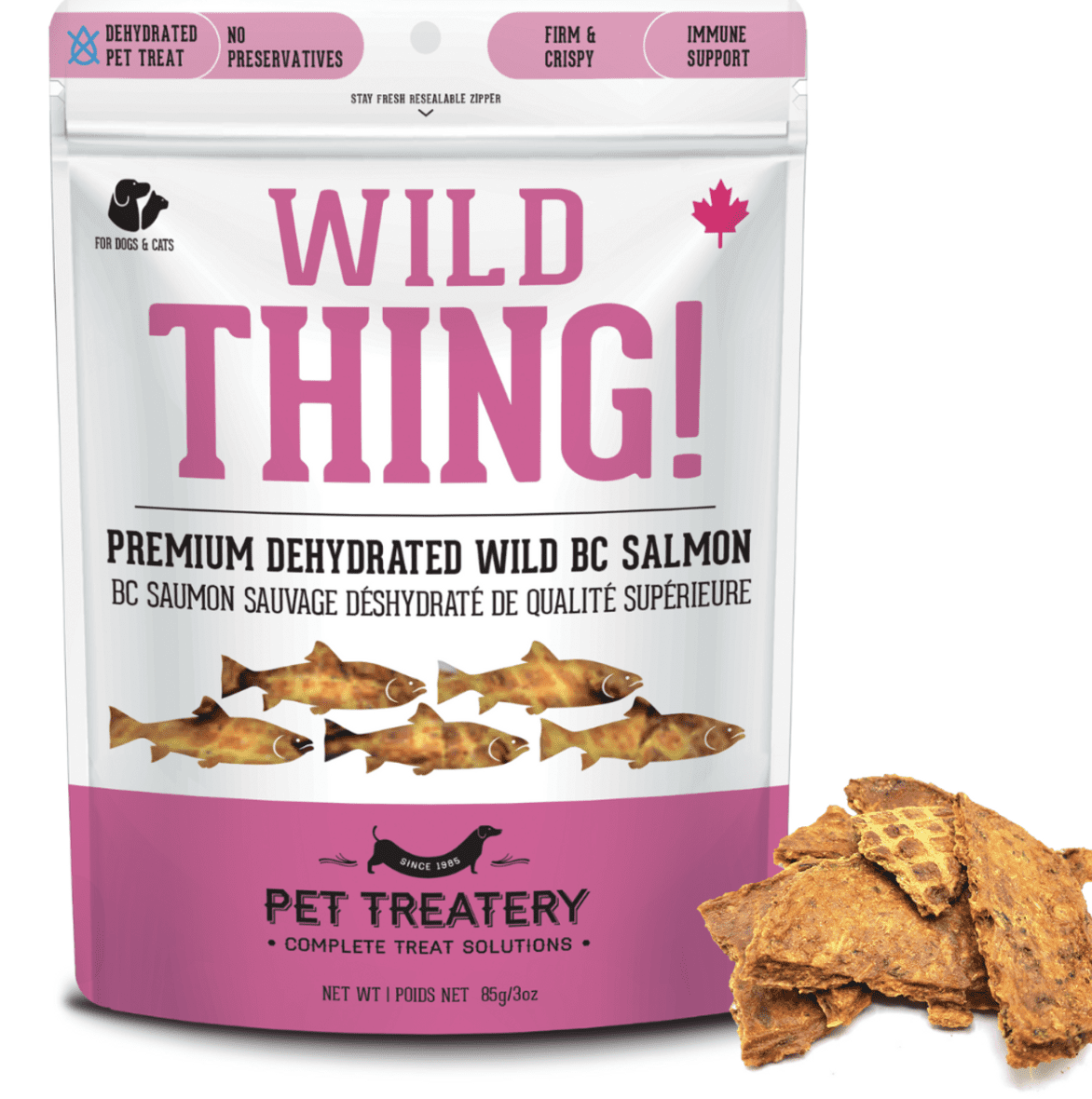 Paw-liday Cheer: 10 Gifts For Furry Friends - VITA Daily